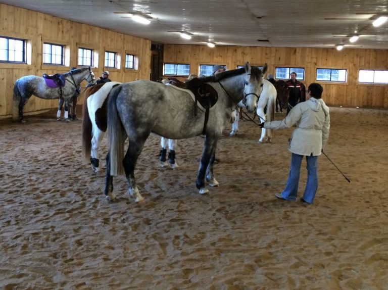 MEADOWLARKE STABLES | Horseback Riding Lessons – Meadowlarke Stables ...