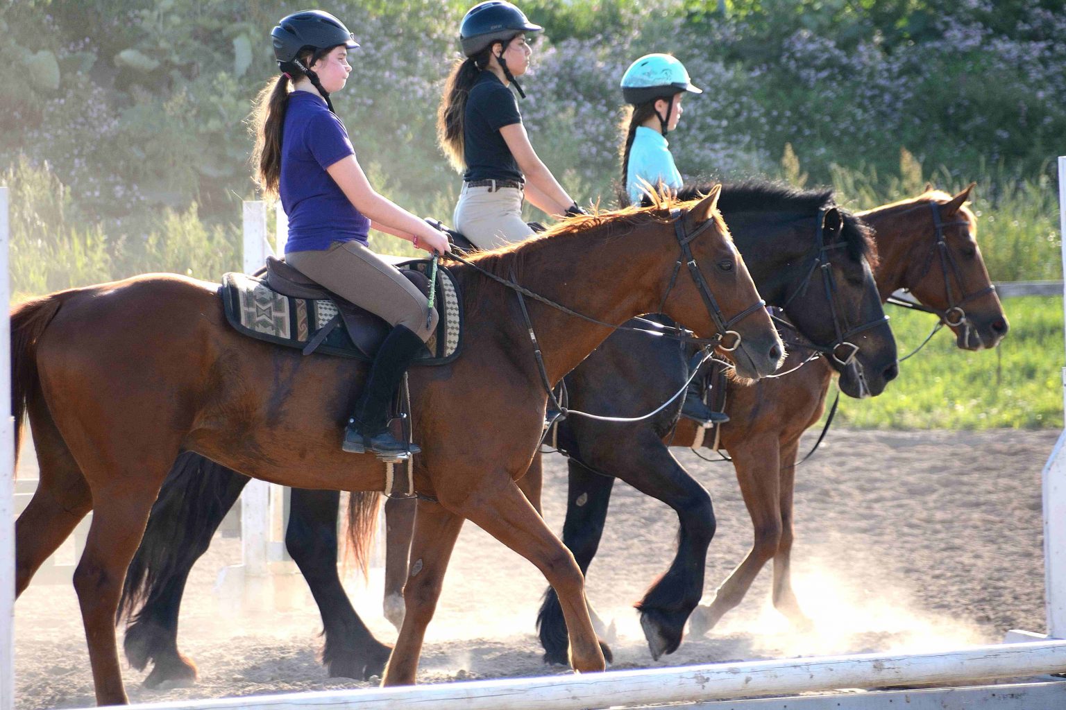 MEADOWLARKE STABLES | Horseback Riding Lessons – Meadowlarke Stables ...